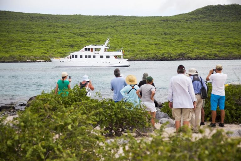 5 Exotic Cruises You Need To Know About - Beekman Beer Garden