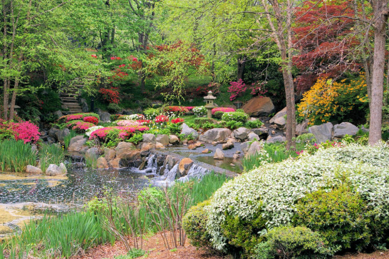 Best Places in Atlanta for a Date – Charm your partner with a perfect ...